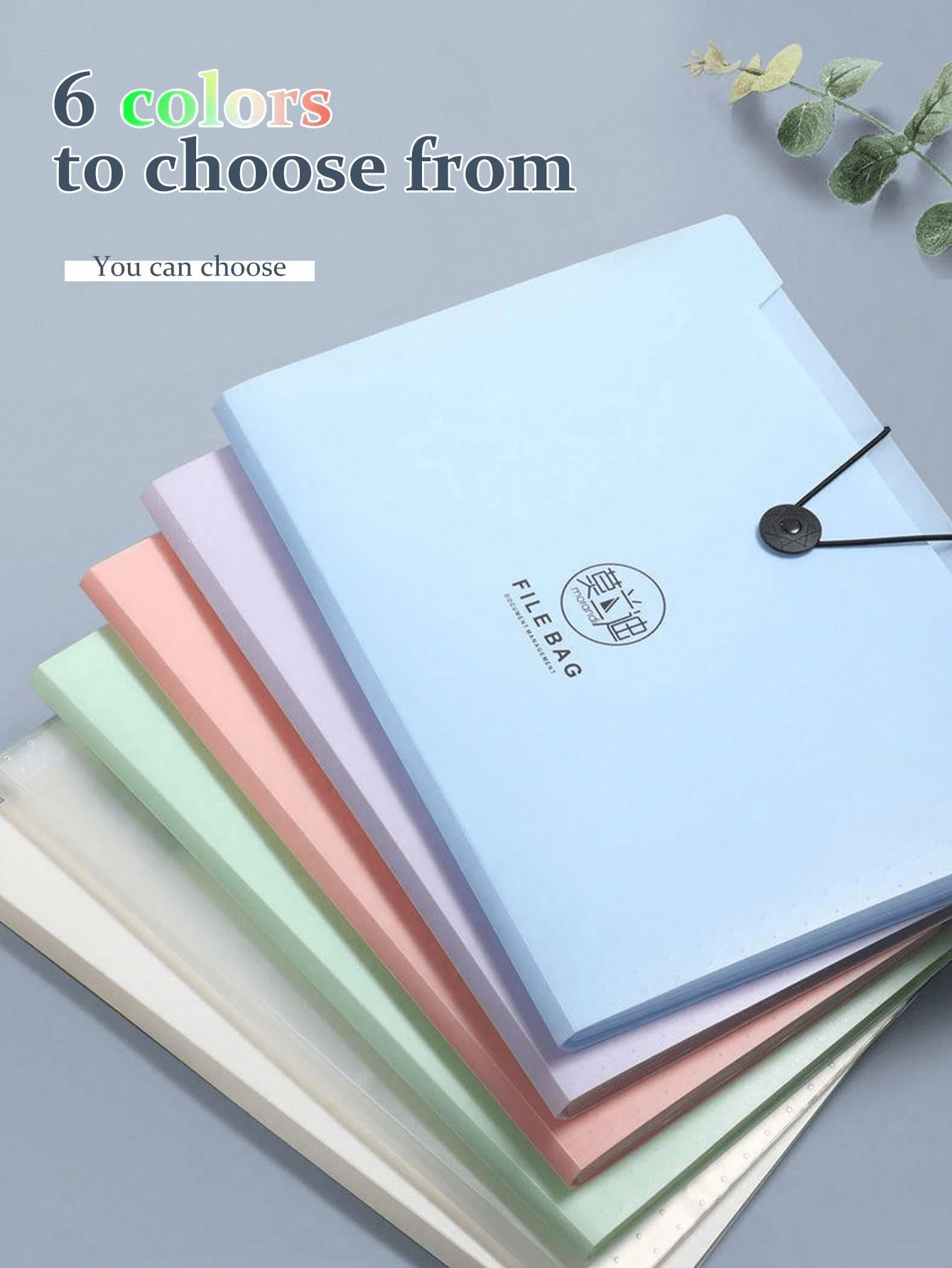 Moraine Colored Large Capacity File Storage Bag, Accordion File Folder ...