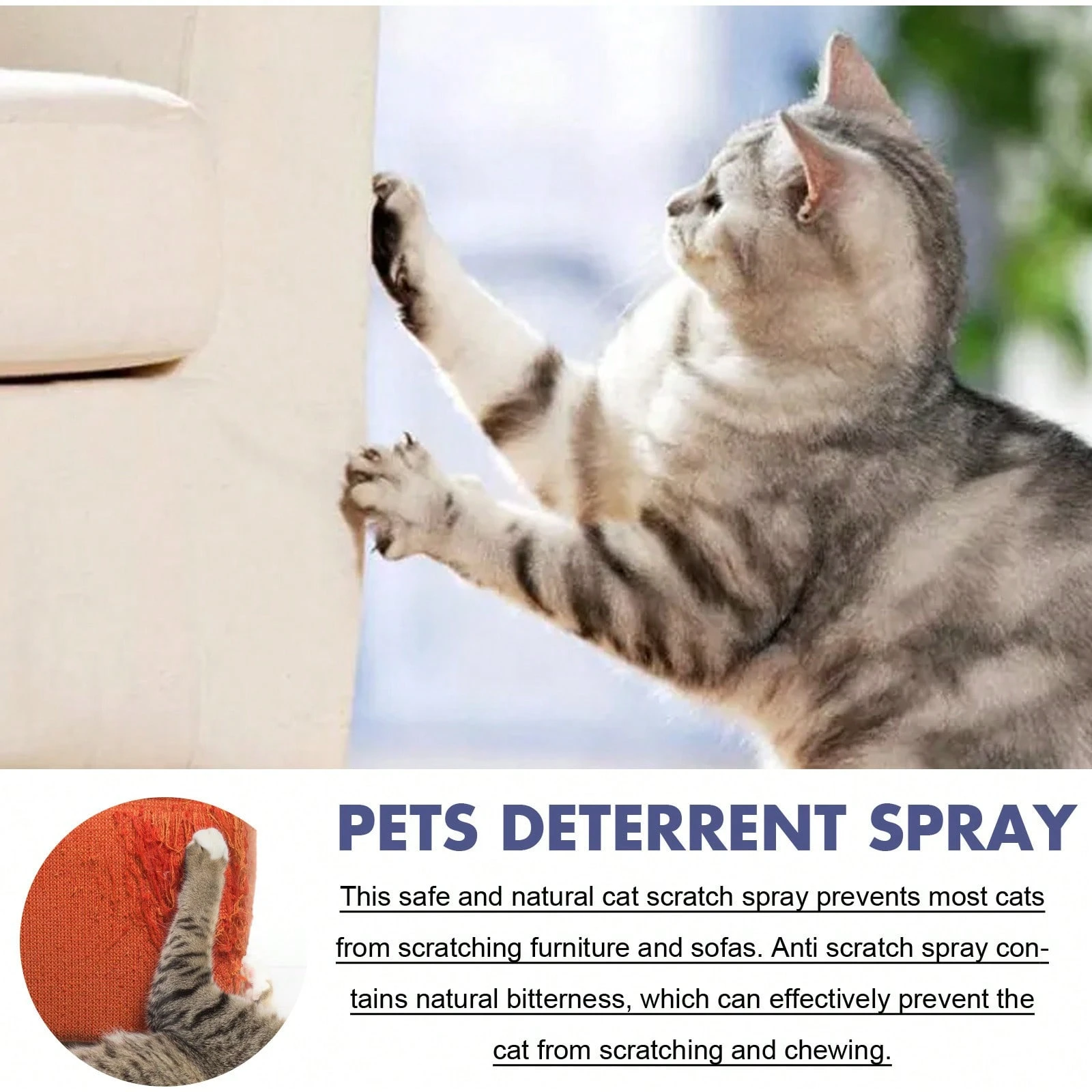 Pet Anti-Scratch Spray, This Product Can Prevent Cats And Dogs From ...