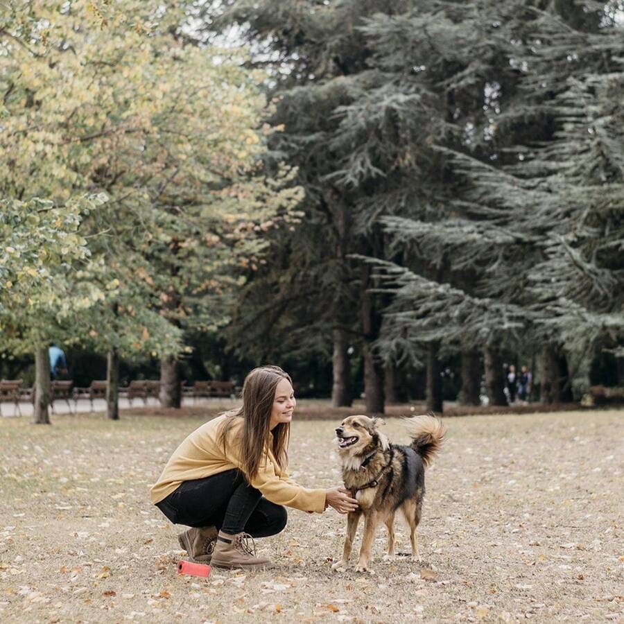 TYJR Poop Bag Holder Pet Poop Collector Kit + 2 Refill Bags For Dogs ...