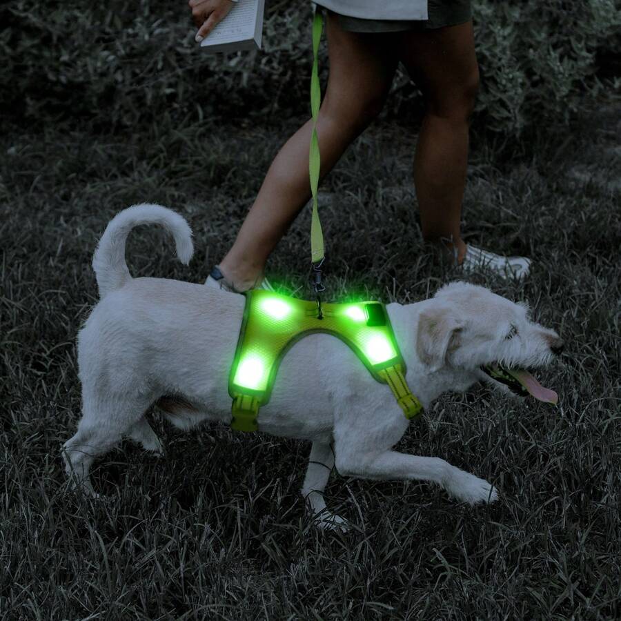 Light Up LED Dog Harness, No Pull LED Dog Harness Rechargeable LED Dog ...