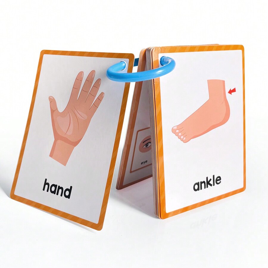 15 PCS Body Part English Word Flashcards Children Learning Education ...