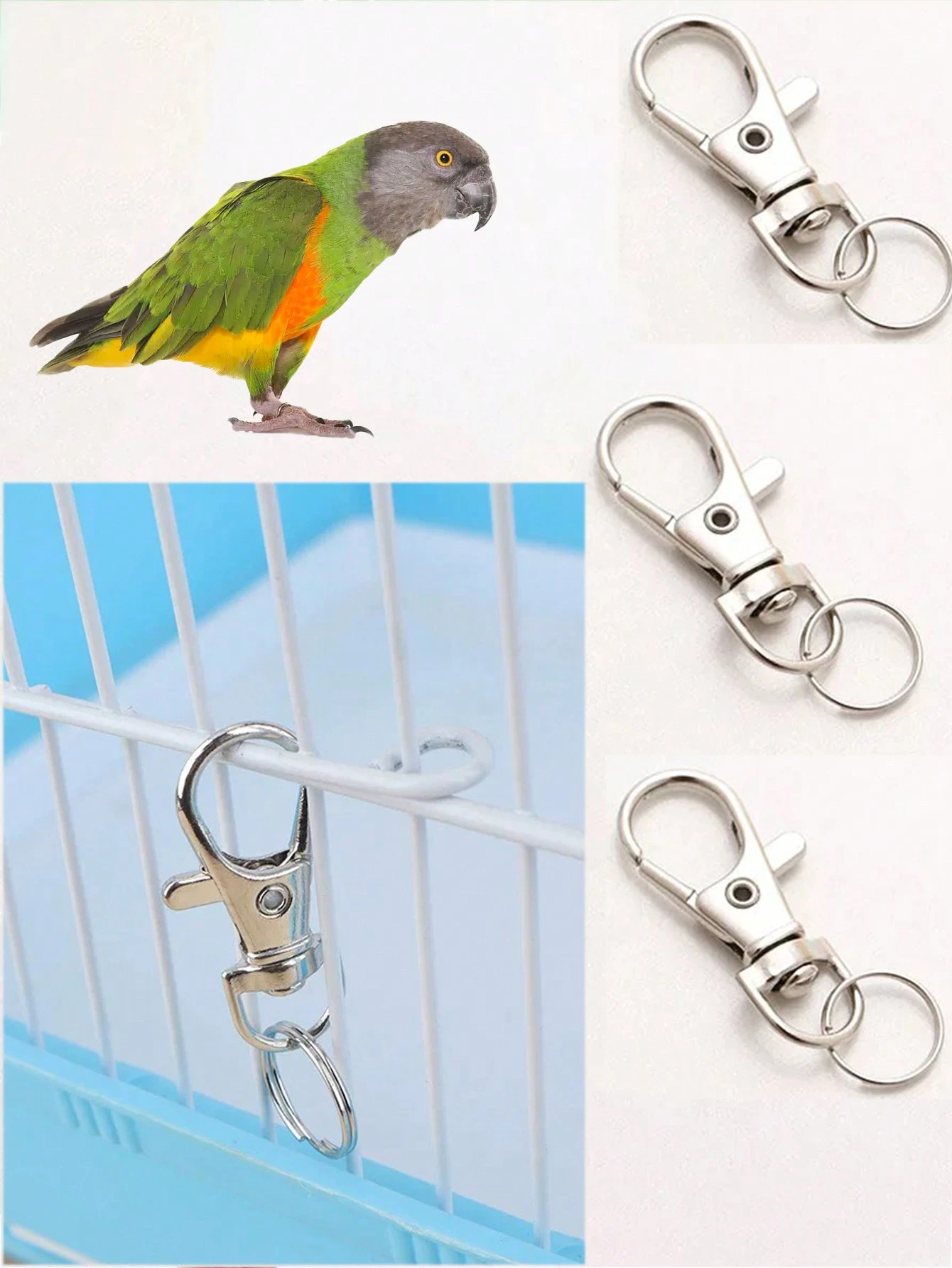 Parrot Escape-Proof Cage Lock, Safety Cage Door Accessories To Prevent ...