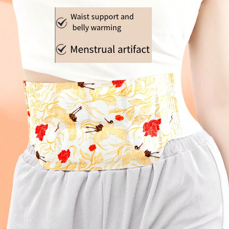 Moxa & Ginger Warming Waist Brace, One-Time Use Winter Herb Warm ...
