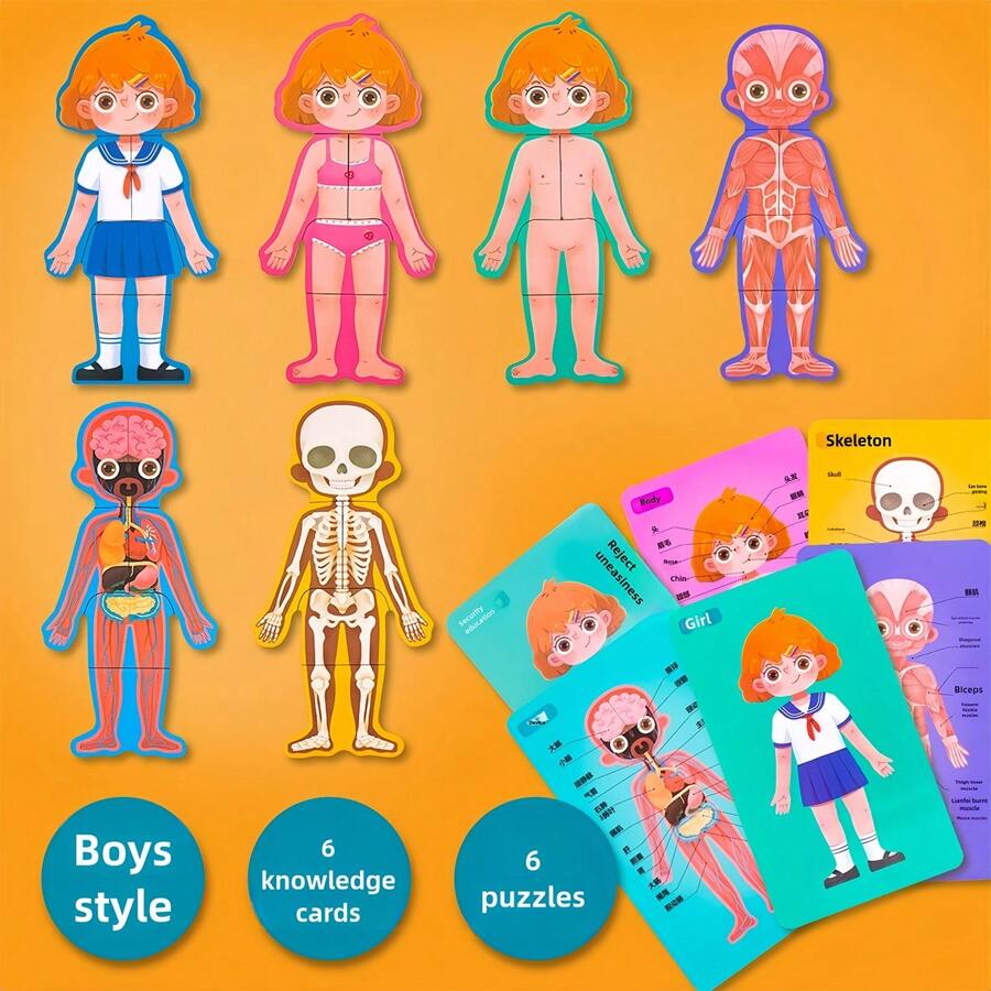 Children Wooden Body Structure Skeletal Muscle Puzzle Montessori ...