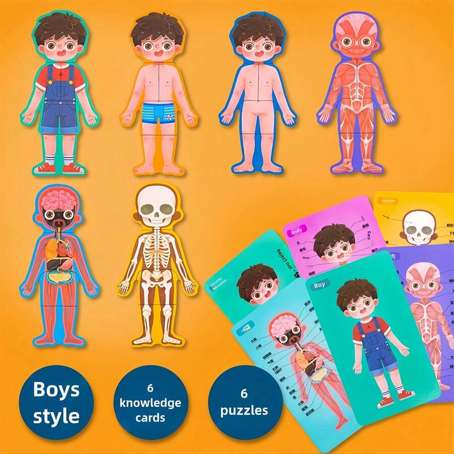 Children Wooden Body Structure Skeletal Muscle Puzzle Montessori ...