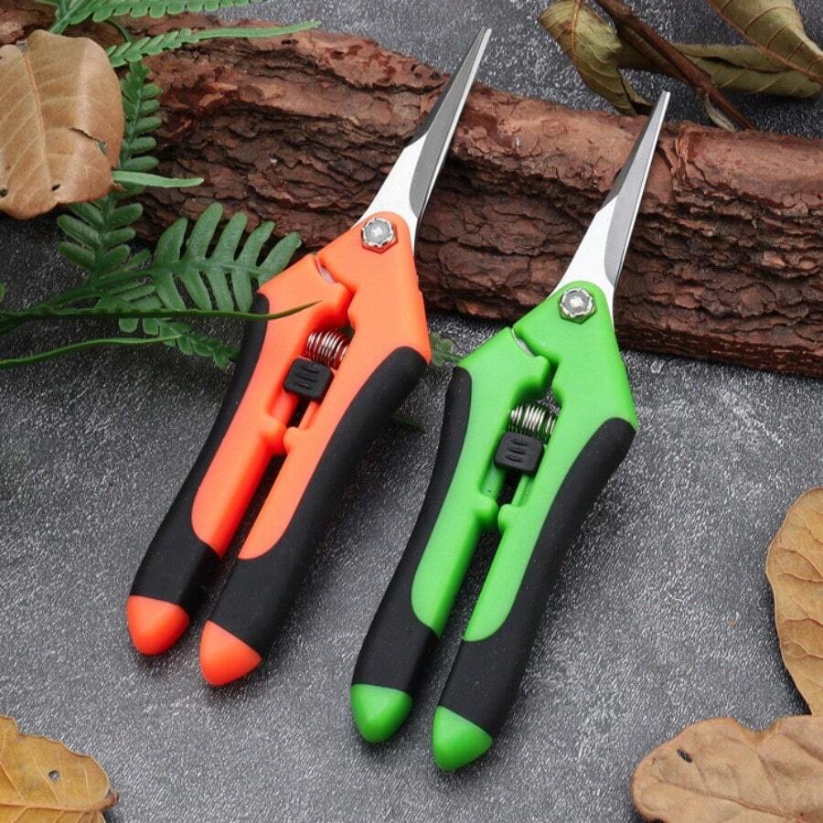 Grape Pruning, Fruit Picking, Gardening Scissors, Flower Branch ...