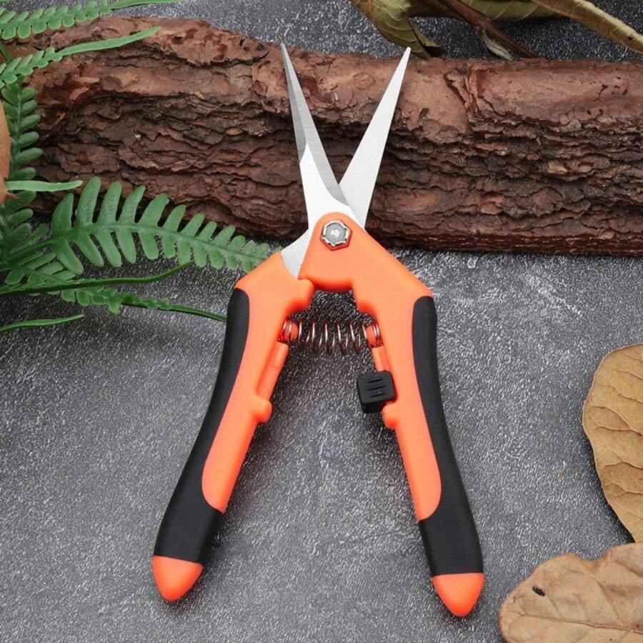 Grape Pruning, Fruit Picking, Gardening Scissors, Flower Branch ...