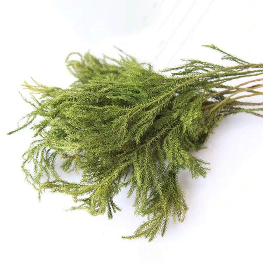 Preserved Soft Lycopodium Wreath DIY Home Photo Wedding Bouquet Prop ...