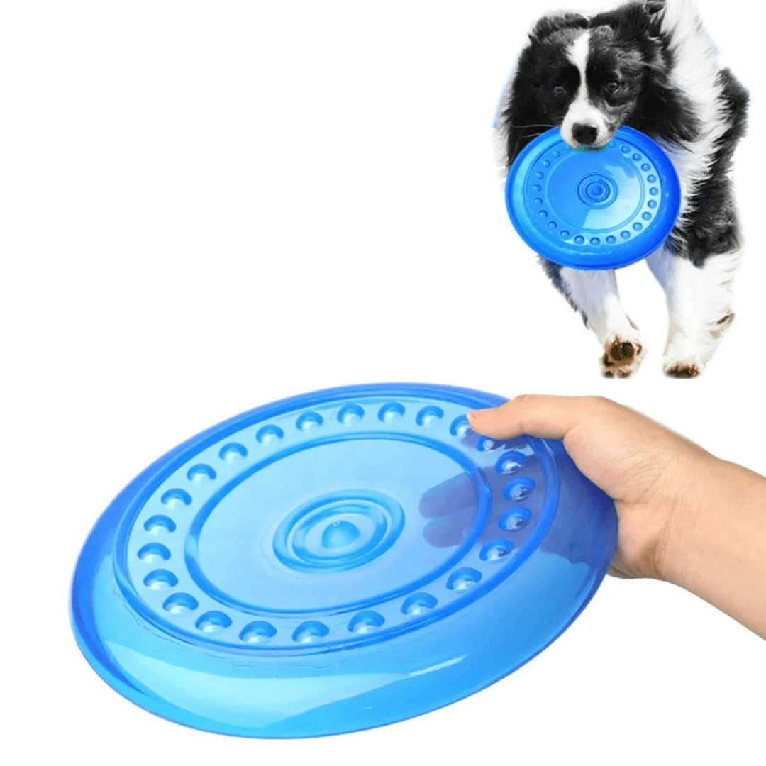 Interesting Pet Outdoor Interactive Flying Disc Toy, Large Size 23.5cm ...