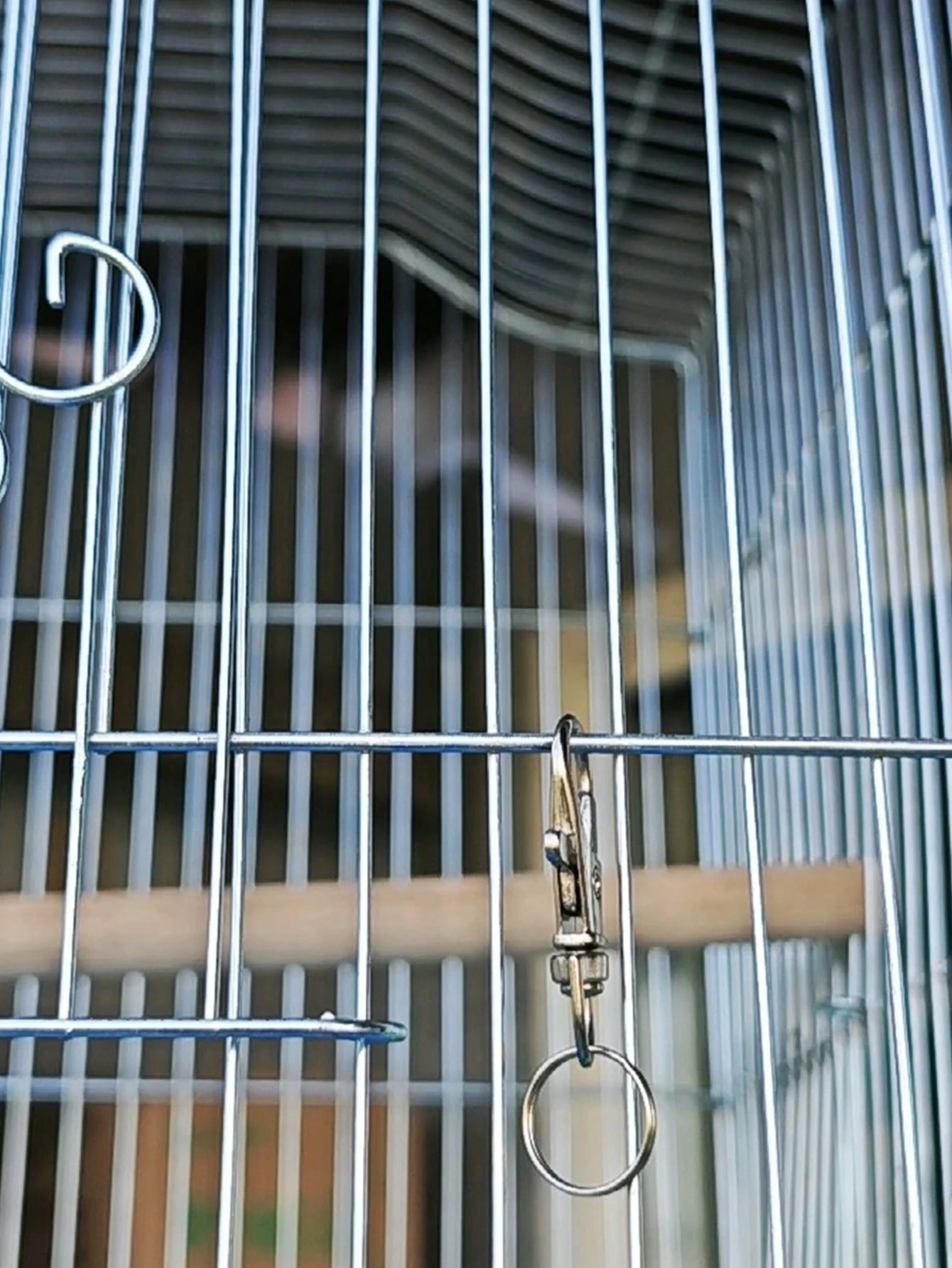 Parrot Escape-Proof Cage Lock, Safety Cage Door Accessories To Prevent ...