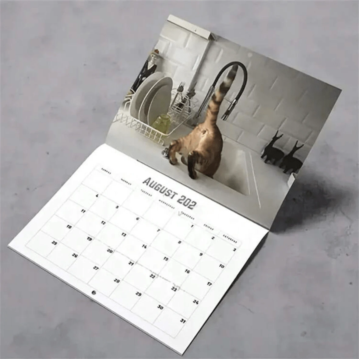 2025 Funny Cat Butt Calendar, Amusing Wall Art, 12 Month Desk Calendar ...