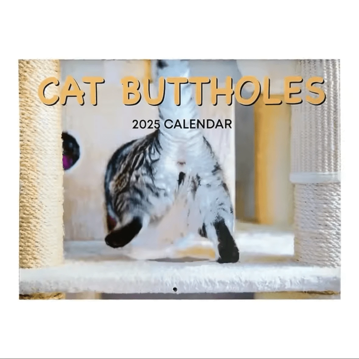 2025 Funny Cat Butt Calendar, Amusing Wall Art, 12 Month Desk Calendar Plan, Paper Material ...