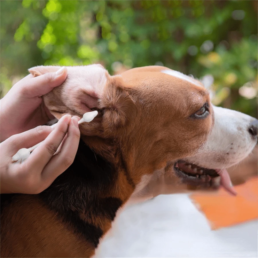 100PCS Dog Cleaning Swabs, Pet Ear Cleaner Swabs Suitable For Small ...