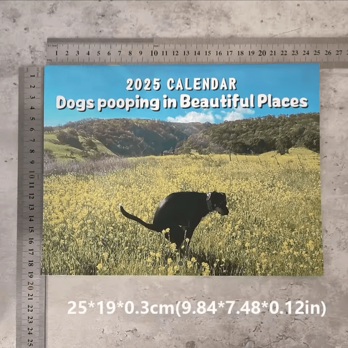 1pc 2025 Dogs Pooping Calendar, Humorous Dogs Pooping In Beautiful ...