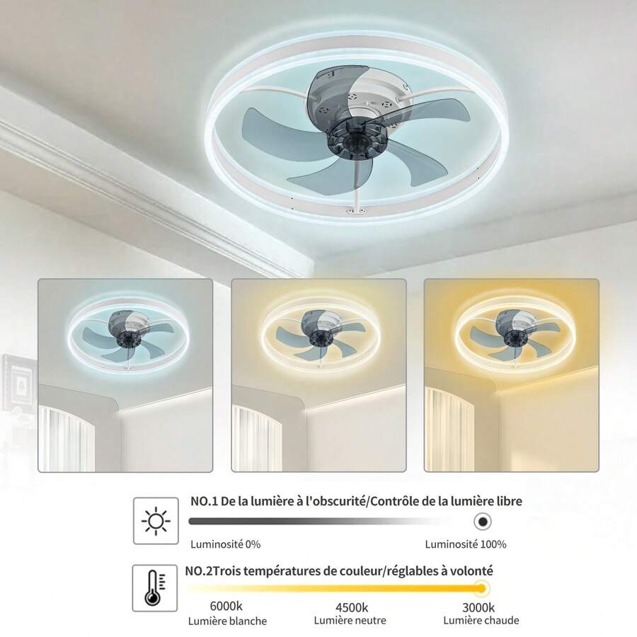 Fan Light, Large Ceiling Fan With 49 CM Diameter And Remote Control ...