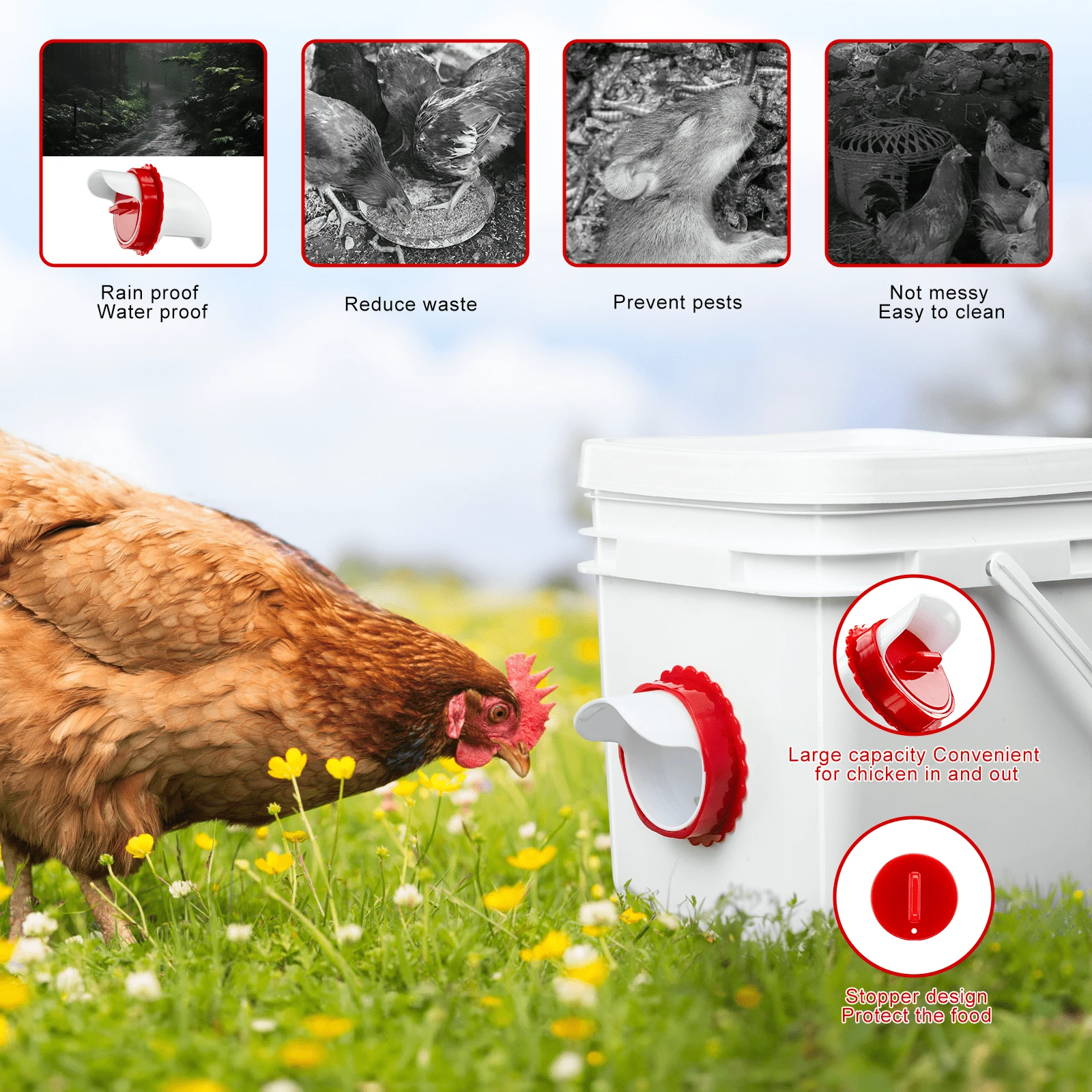 Chicken Feeder Set, Automatic 6pcs Chicken Feeders For Chicken, Ducks ...