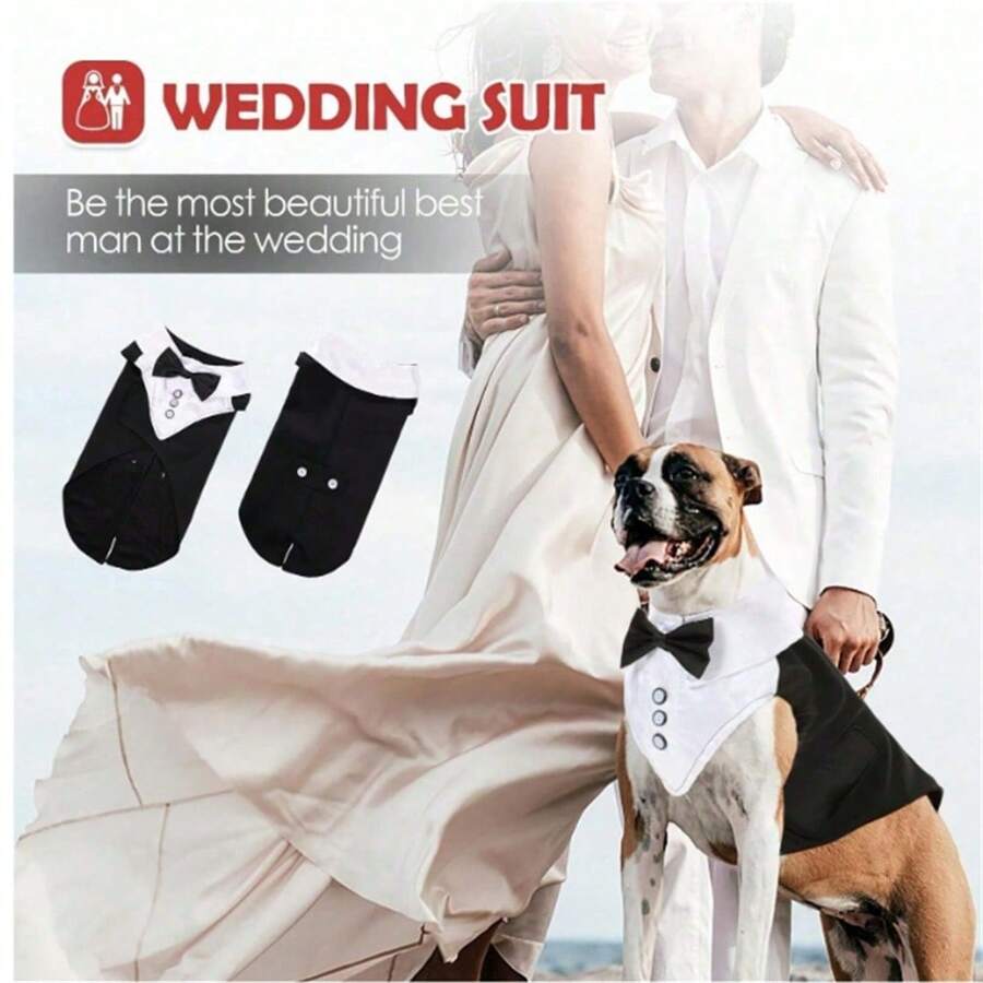 Ensemble costume de tuxedo de chien et bandana, costume de mariage pour ...