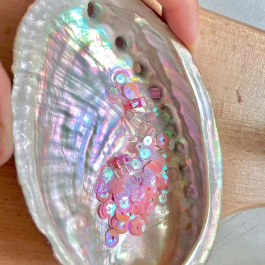 1pc Natural Abalone Shell, DIY Craft Material, Creative Educational ...