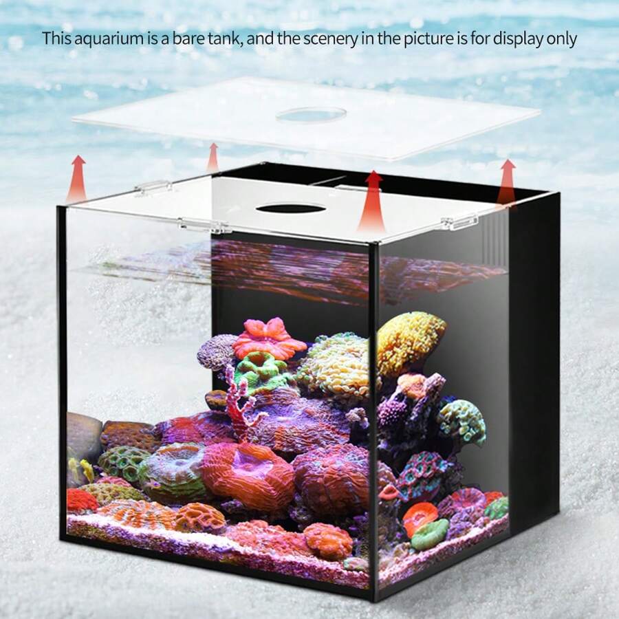 Back Filter Tank Mini Aquatic Grass Landscaping Small Fish Tank Glass ...