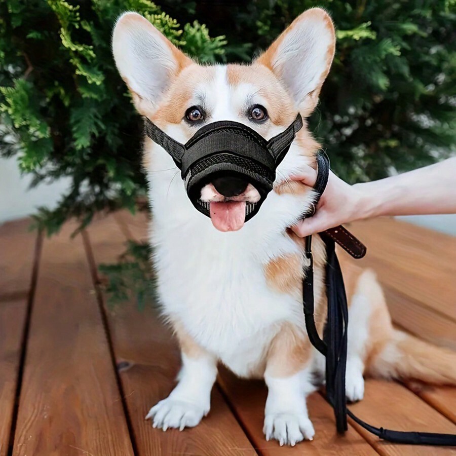 1pc Black Dog Muzzle, Anti-Bite Anti-Bark, Allows Drinking Water And ...
