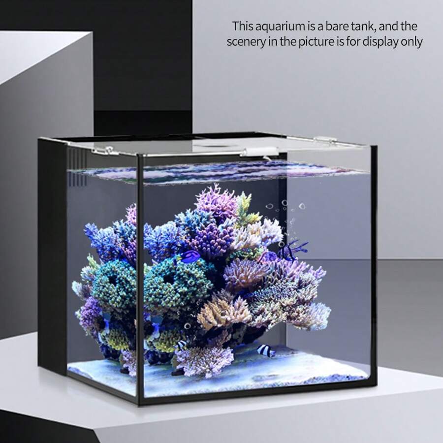 Back Filter Tank Mini Aquatic Grass Landscaping Small Fish Tank Glass ...