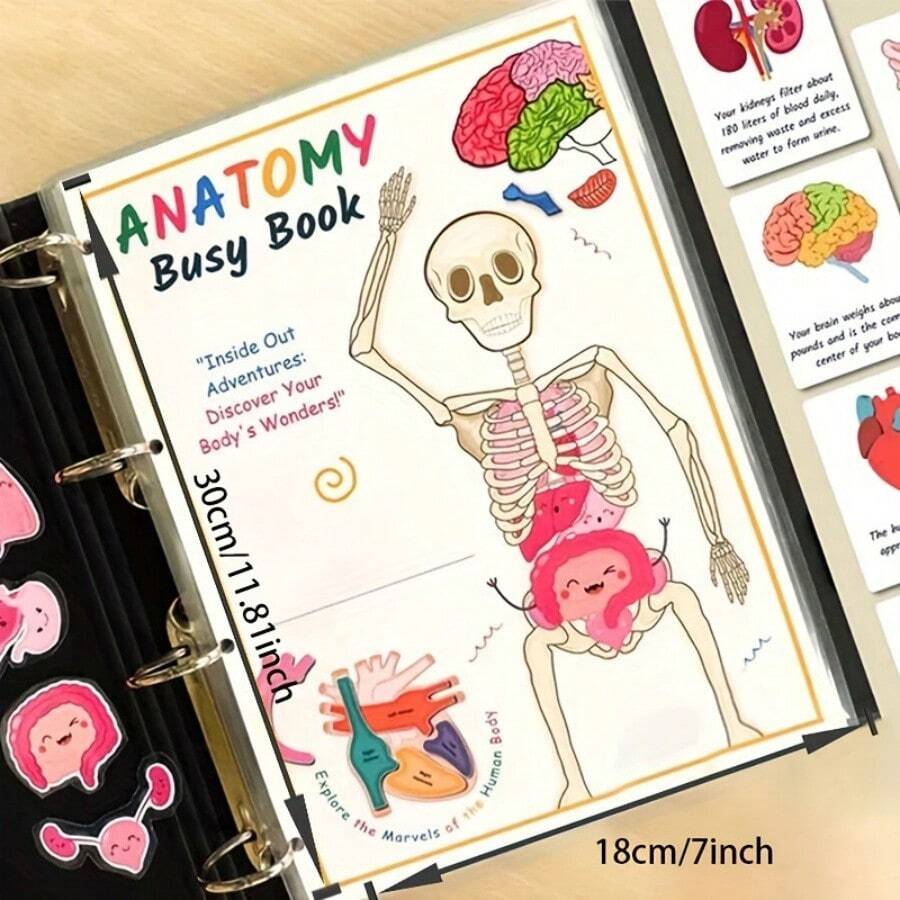 Human Anatomy Busy Book - Interactive Organ Matching Activity, Unlocks ...
