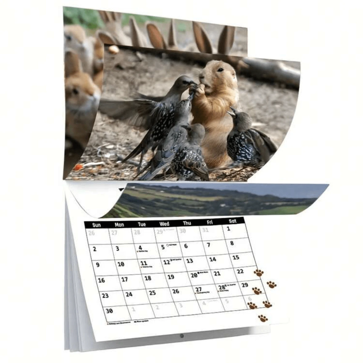 Funny 2025 Wall Calendar 2025 Animal Theme Wall Calendar Planner ...