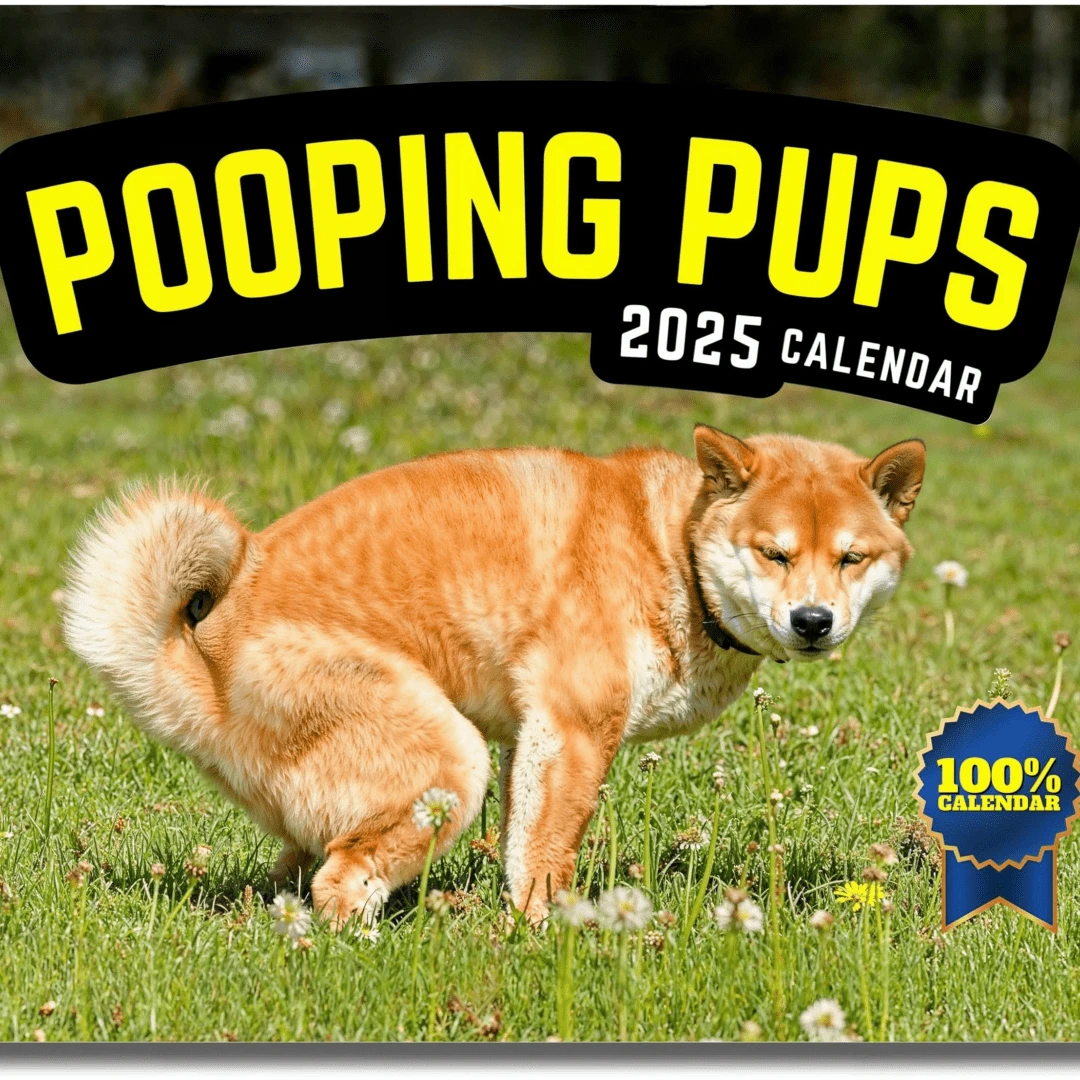 New Pooping Pups Funny Adult Gift - 2025 Dog Poop Calendar - Gag Gift ...