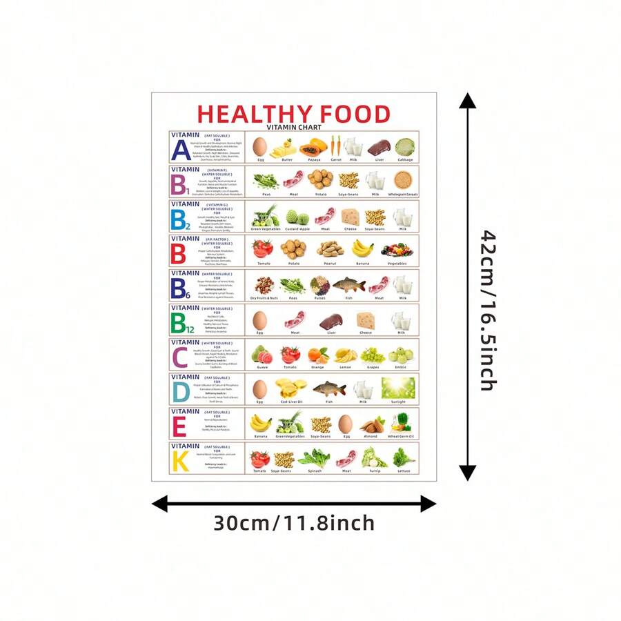 1 Healthy And Nutritious Food Vitamin Magnet Nutrition Table, Suitable ...