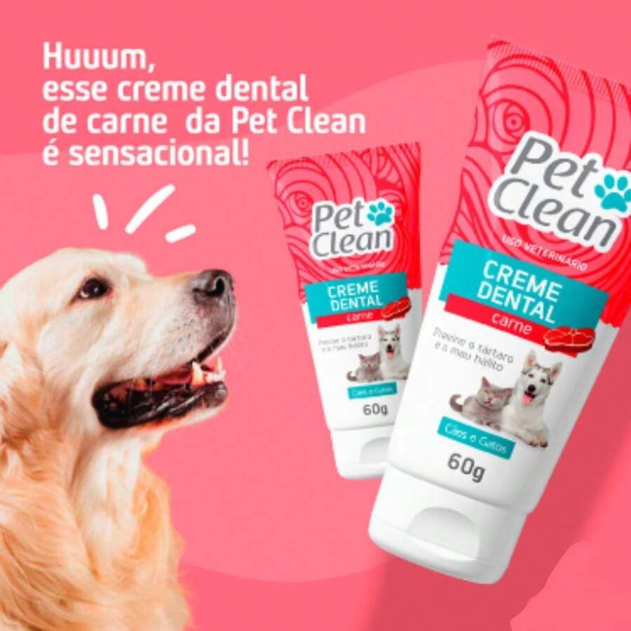 Female Dog Talcum Powder Kit, Flavored Toothpaste And Toothbrush - Pet ...