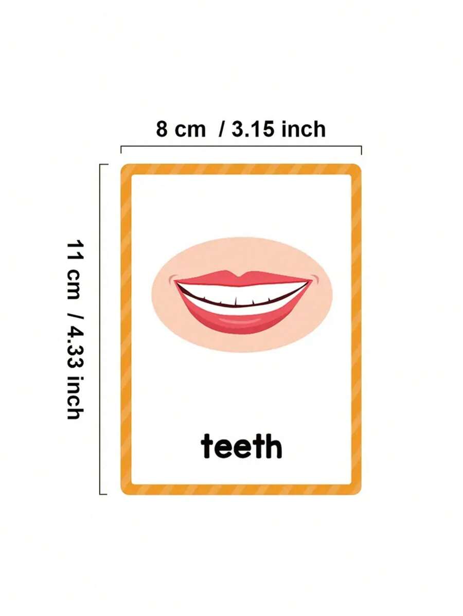 Body Part Recognition Flashcards, Learn English Vocabulary Cards ...