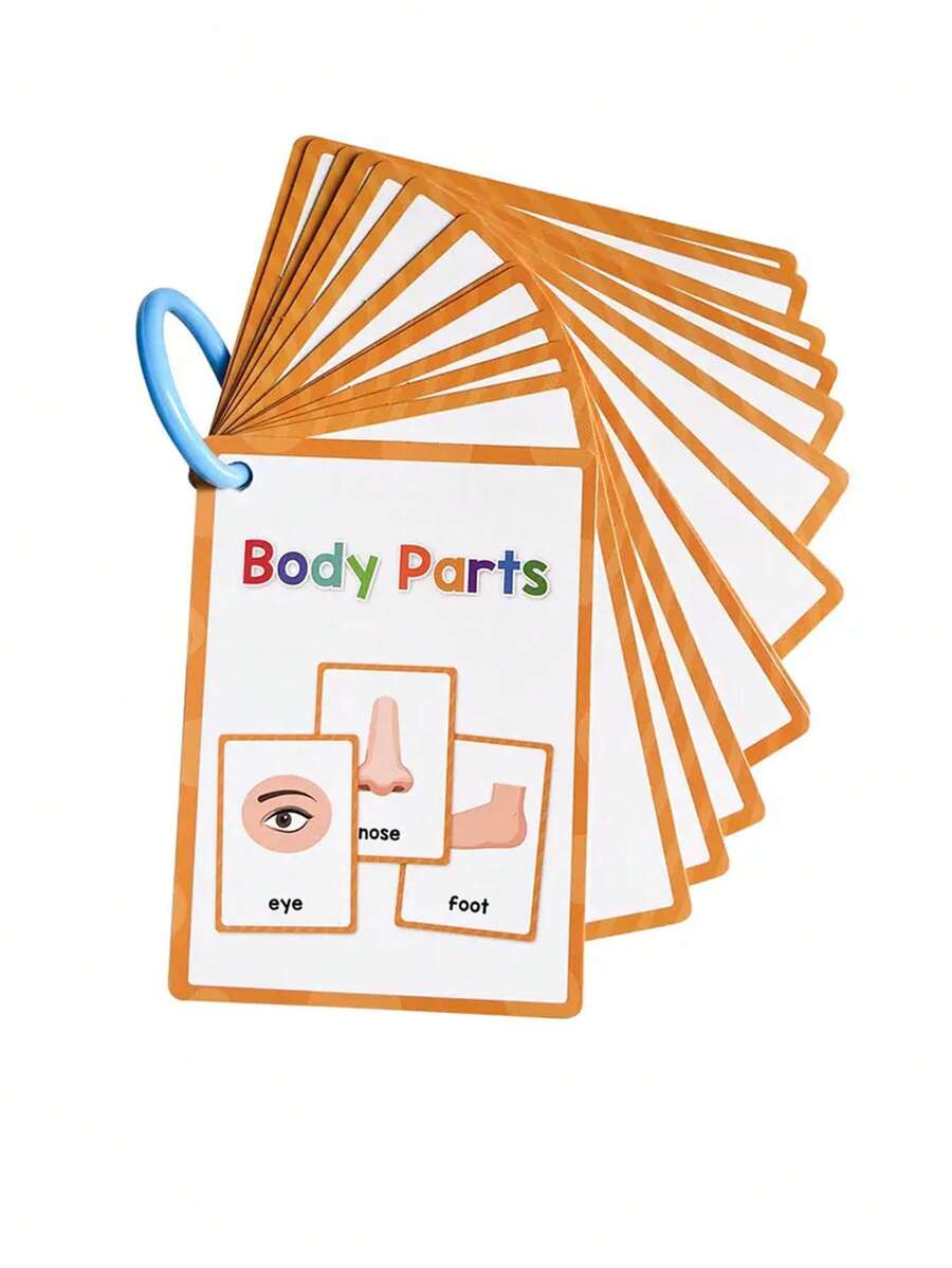 Body Part Recognition Flashcards, Learn English Vocabulary Cards ...