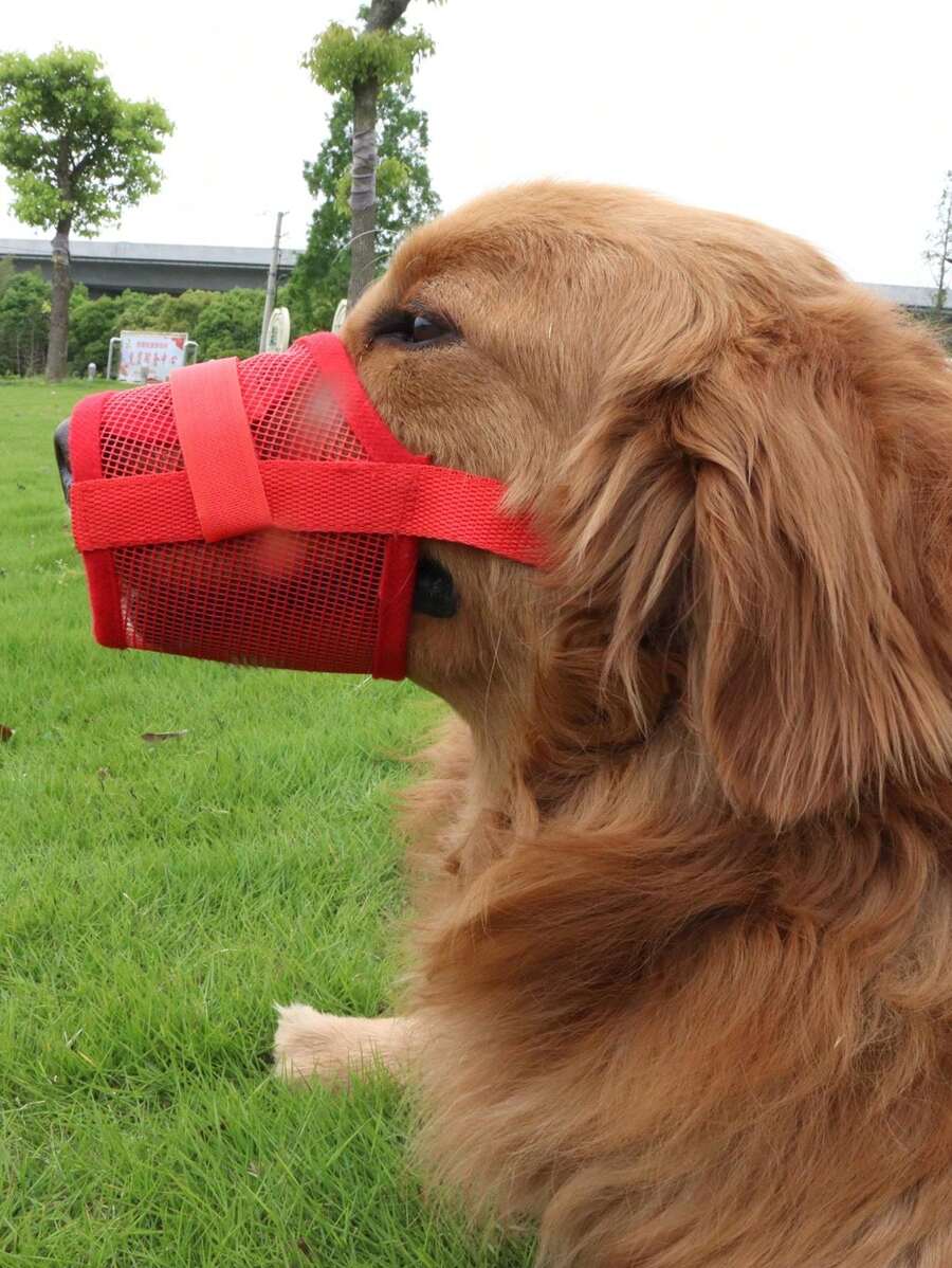 Mesh Dog Muzzle, Anti-Bite, Prevent Messy Eating, Anti-Licking Muzzle ...