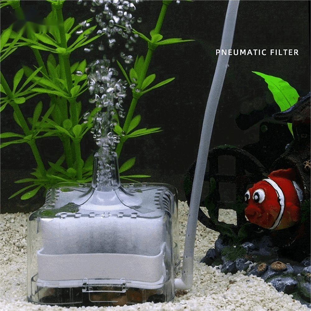 Small Biochemical Filter Oxygenated Bacteria Culture Water Fairy ...