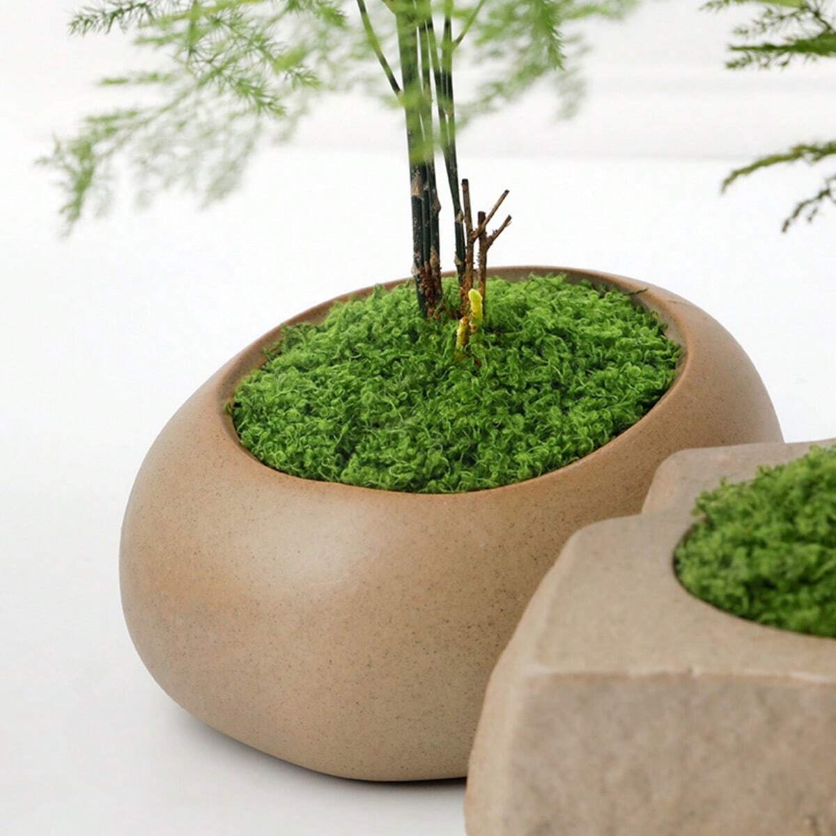 Artificial Moss - DIY Simulated Moss Lawn For Decor, Landscape, Potted ...