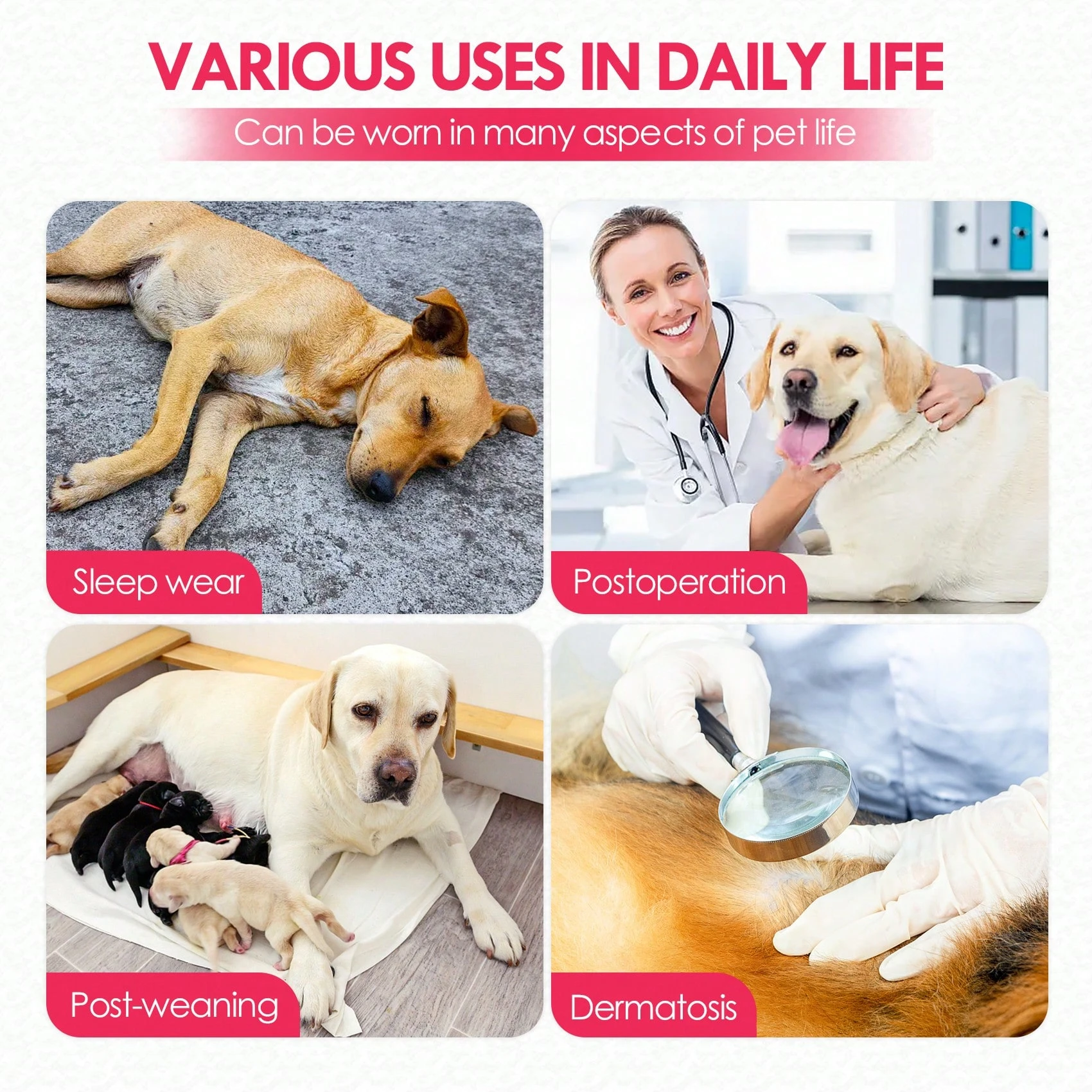 New Dog Surgery Recovery Suit, Recovery Suit For Small Medium Large ...