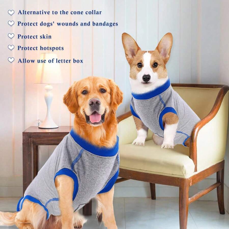 Recovery Suit For Dogs Cats After Surgery, Recovery Shirt For Male ...