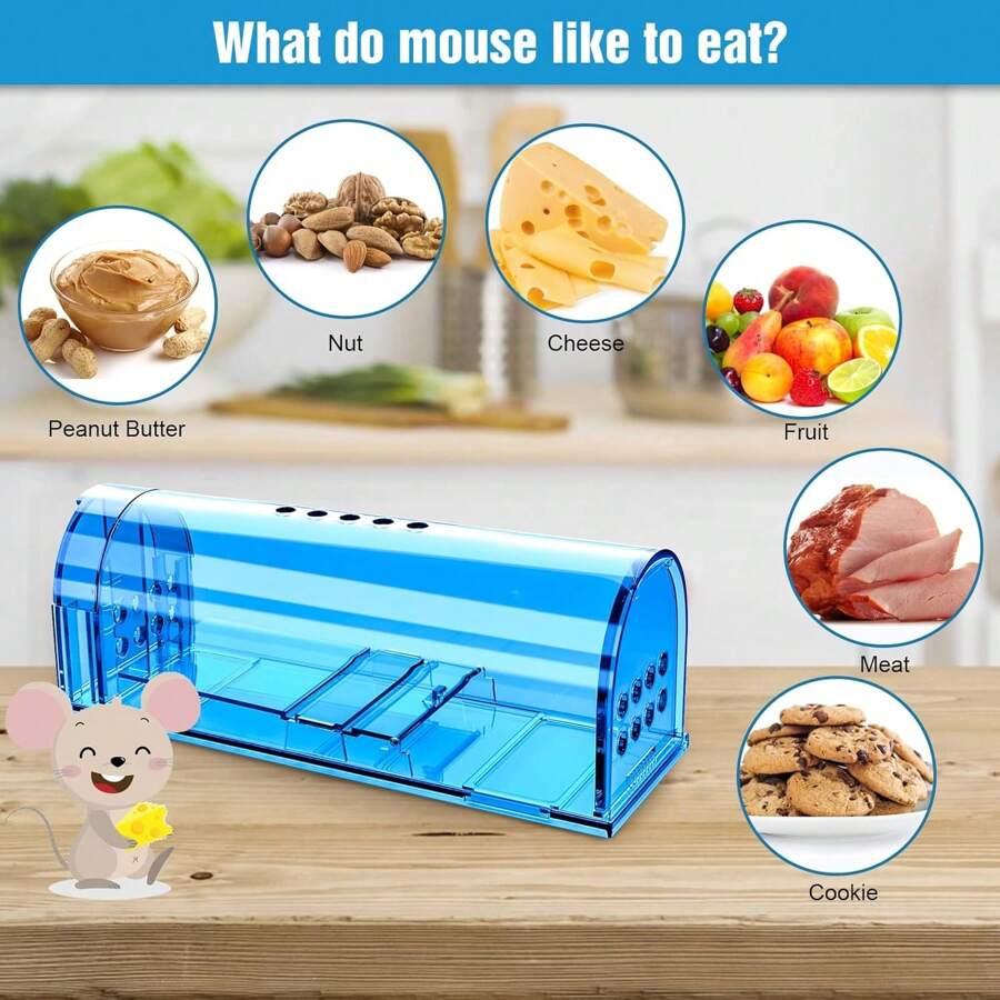 Motel Mouse Humane No Kill Live Catch And Release Mouse Traps, Reusable ...