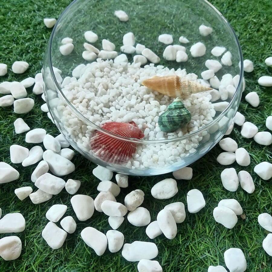 1 Bag Mini Pebble, Stone, Pebble Vase Fill, Meaty, Cactus Fill ...