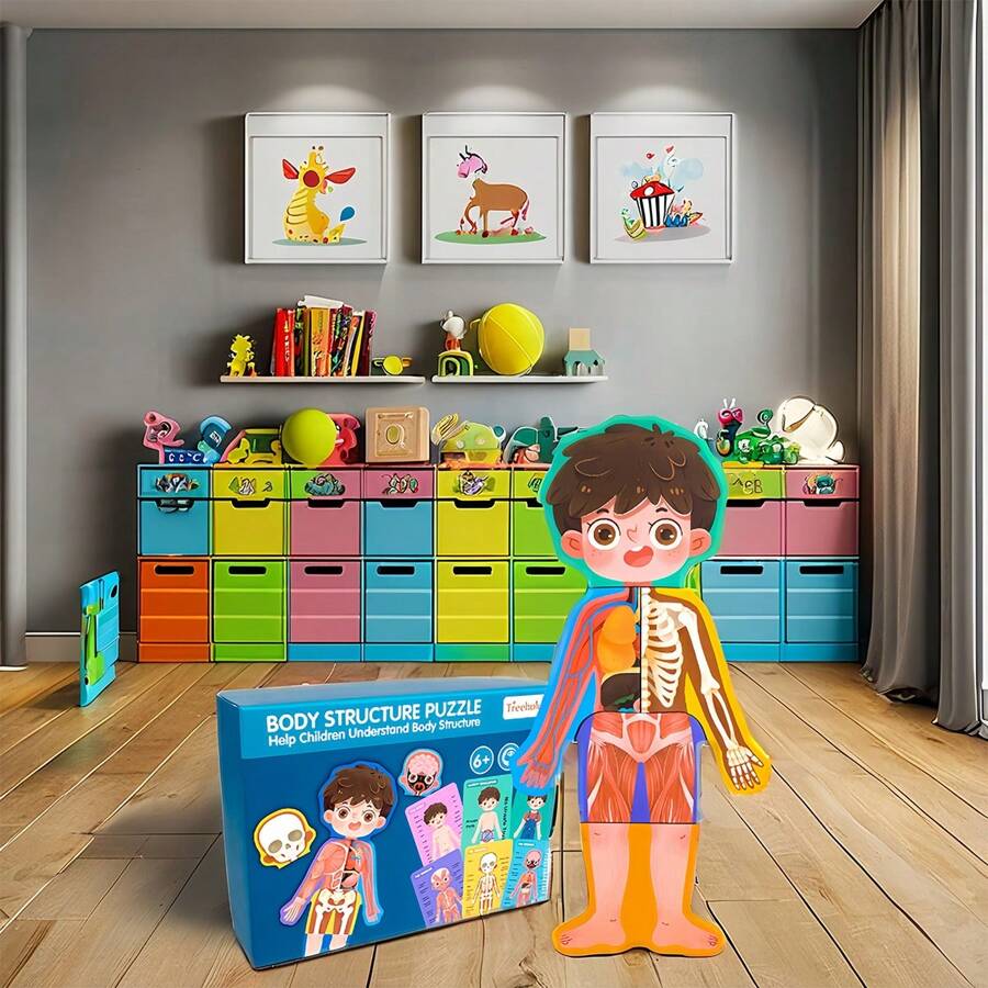 Children Wooden Body Structure Skeletal Muscle Puzzle Montessori ...