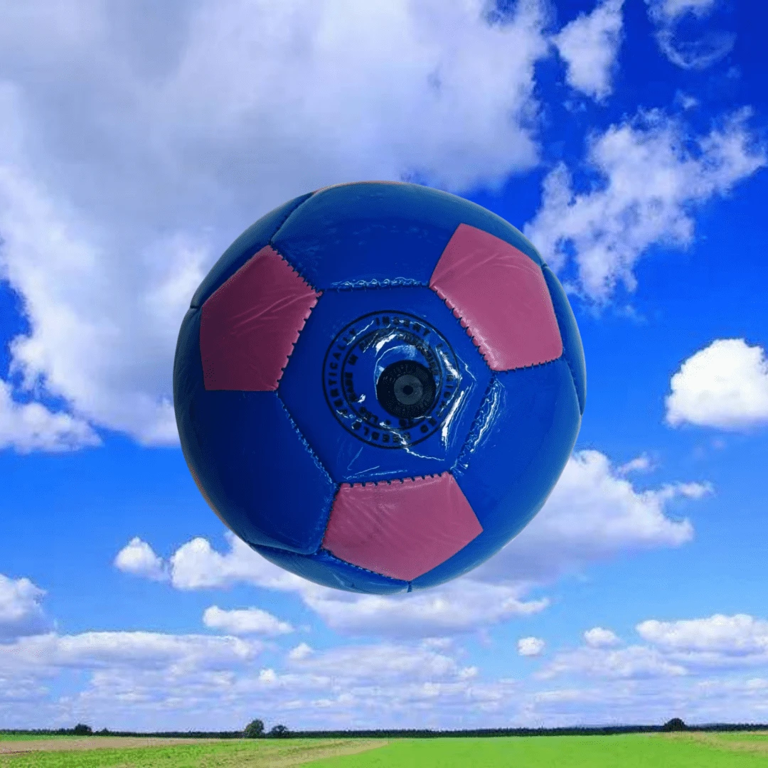 PVC Size 2 Classic Soccer Ball, Casual Recreational Sports Goods ...