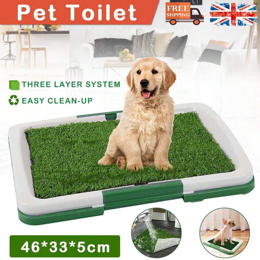Pet Dog Toilet Mat Indoor Restroom Training Grass Potty Pad Loo Tray ... Pet Dog Toilet Mat Indoor Restroom Training Grass Potty Pad Loo Tray ...