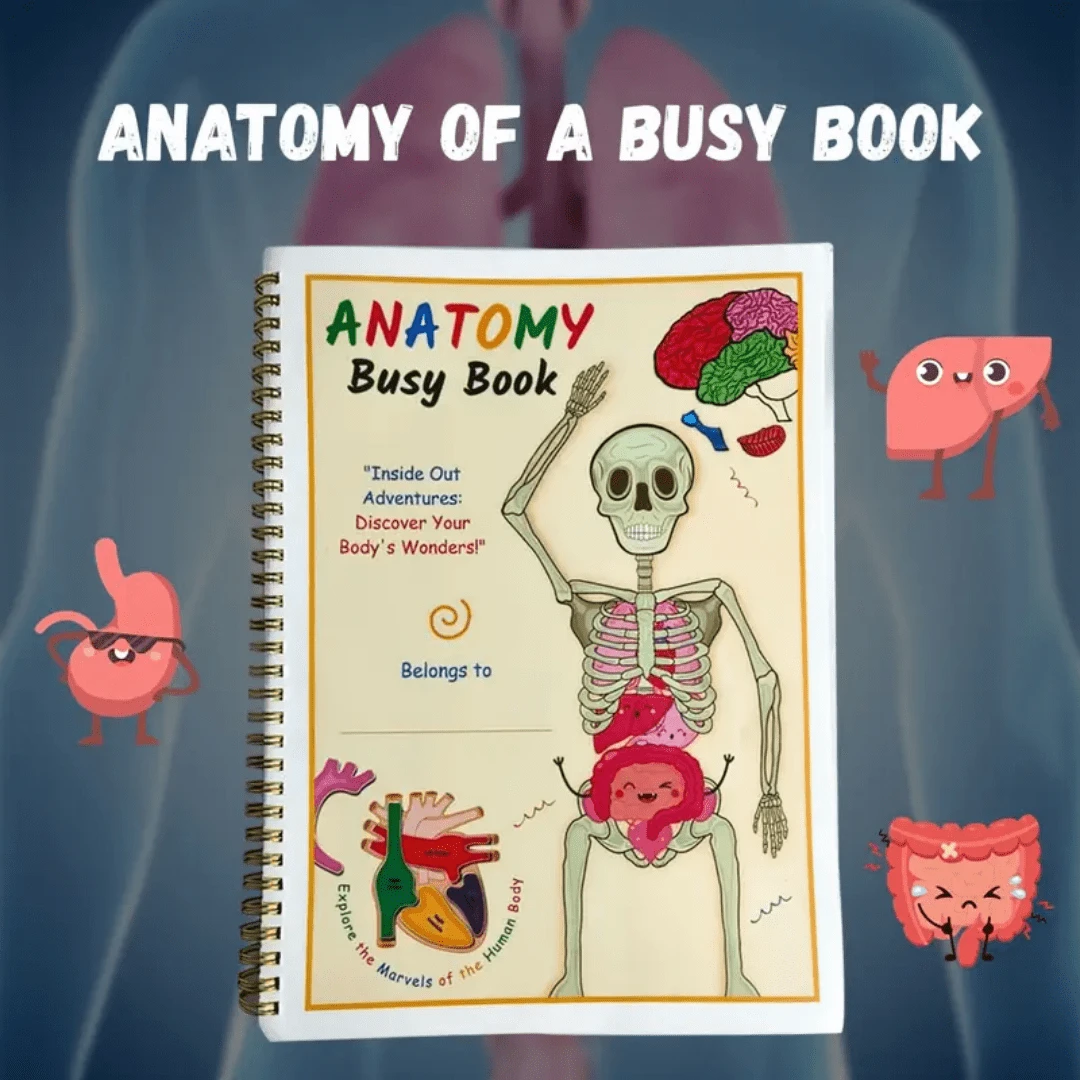 Interactive Human Anatomy Learning Book - Organ Matching Activity ...