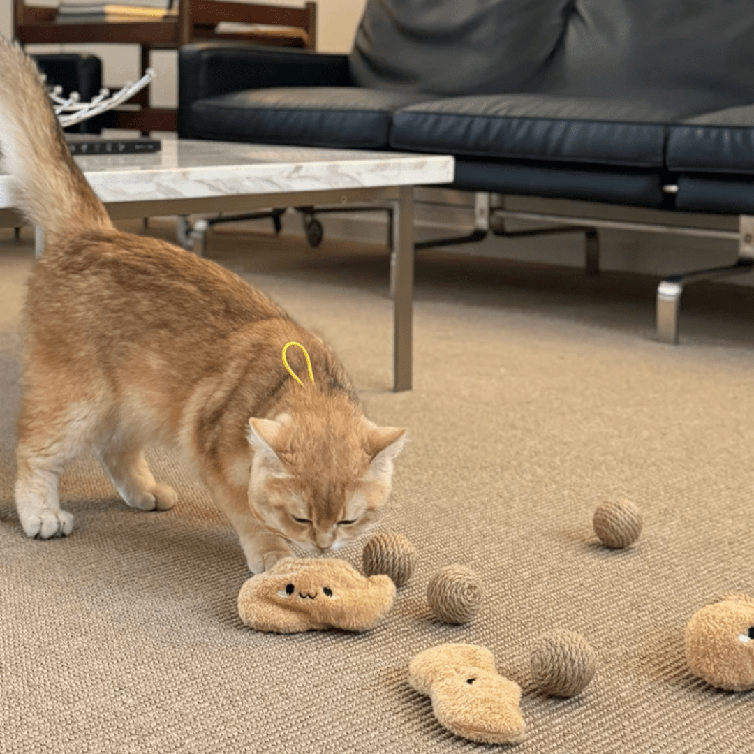 Peanut Shaped Cat Ball Toy,Cat Teaser Stick, Scratch Pole, Bite ...