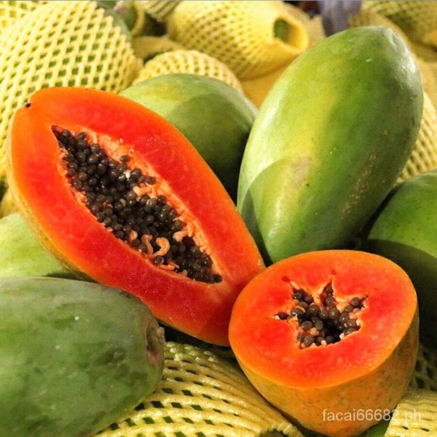 [Local Seller] Dwarf Hybrid Red Papaya Seeds For Planting (10 Seeds ...