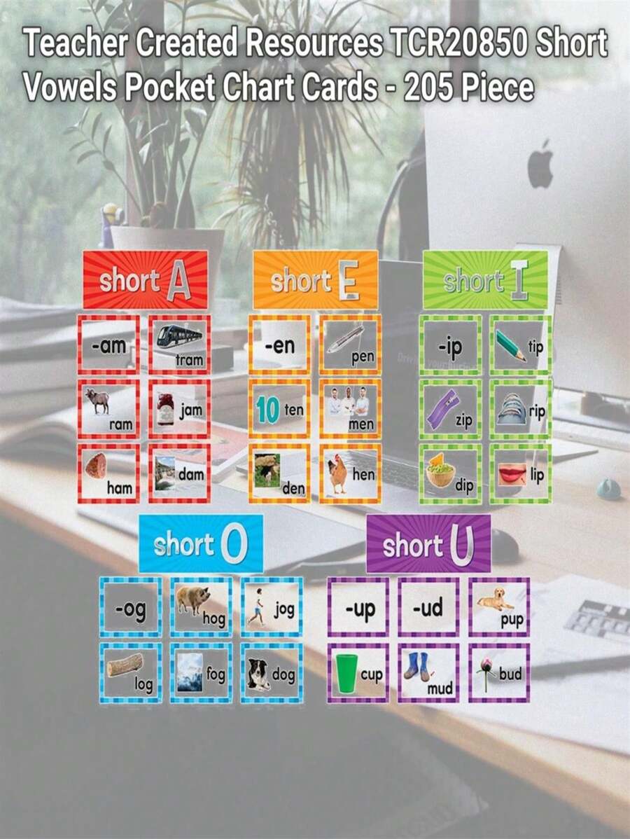 Teacher Created Resources TCR20850 Short Vowels Pocket Chart Cards ...