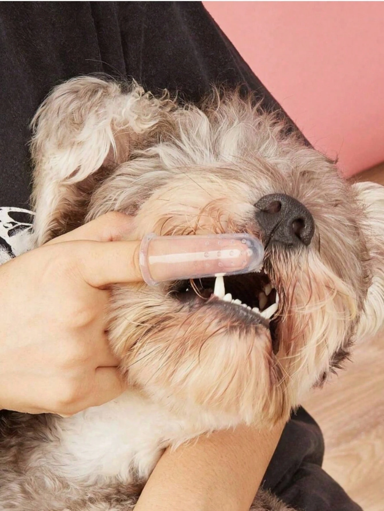 1 pieza Cepillo dental de dedo para mascotas, herramienta de limpieza ...