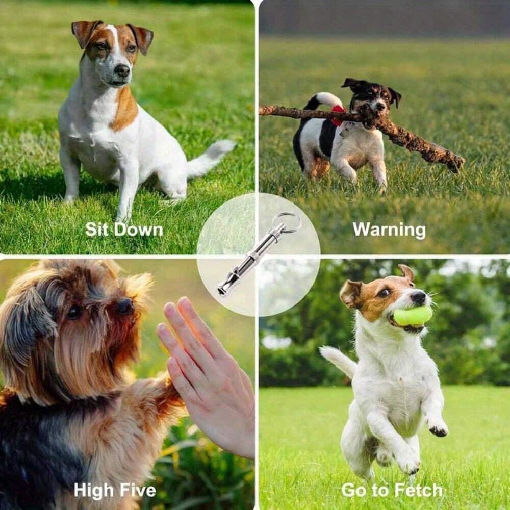 1pc Anti-Barking Dog Whistle, Adjustable Pitch Pet Whistle With ...