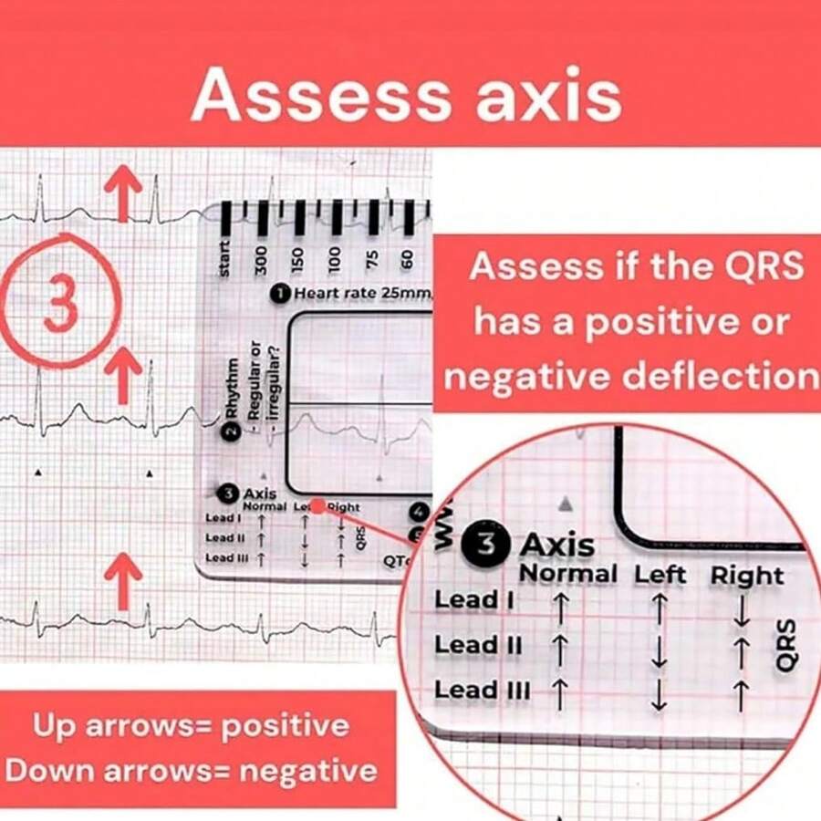 Fun & Functional Portable ECG 7-Step Ruler, Durable Plastic Material ...