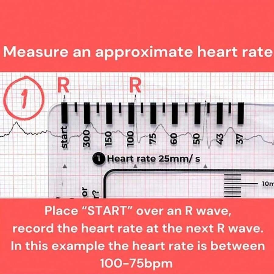 Fun & Functional Portable ECG 7-Step Ruler, Durable Plastic Material ...